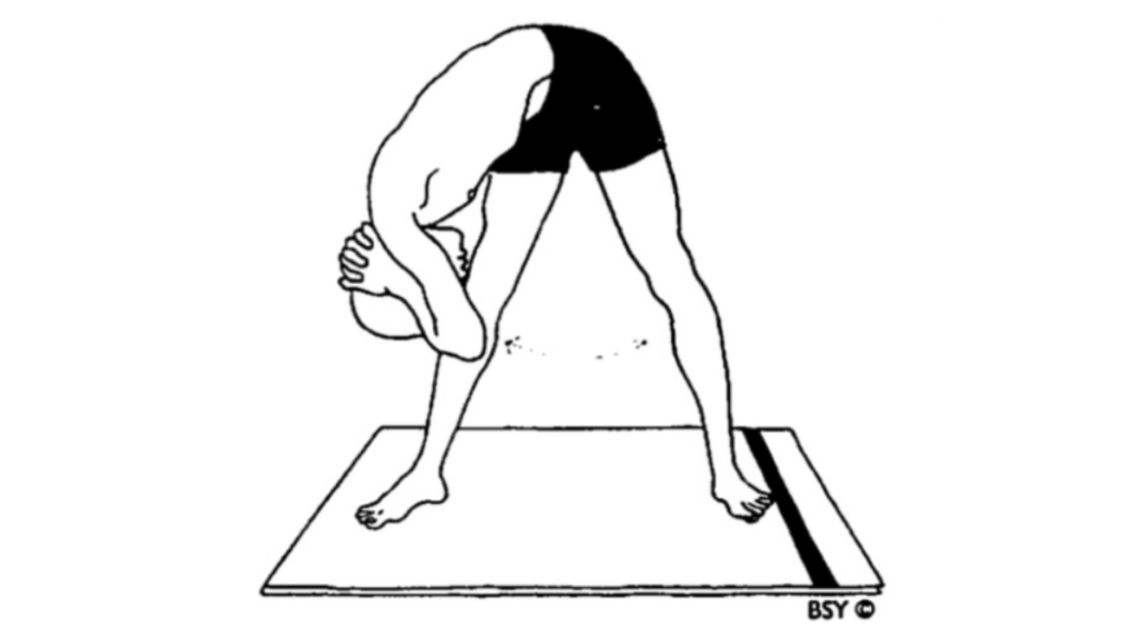 Dolasana - Pendulum Pose In Yoga - World Yoga Forum