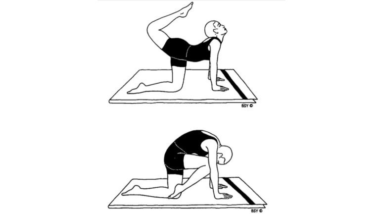 Vyaghrasana - Tiger Pose In Yoga - World Yoga Forum