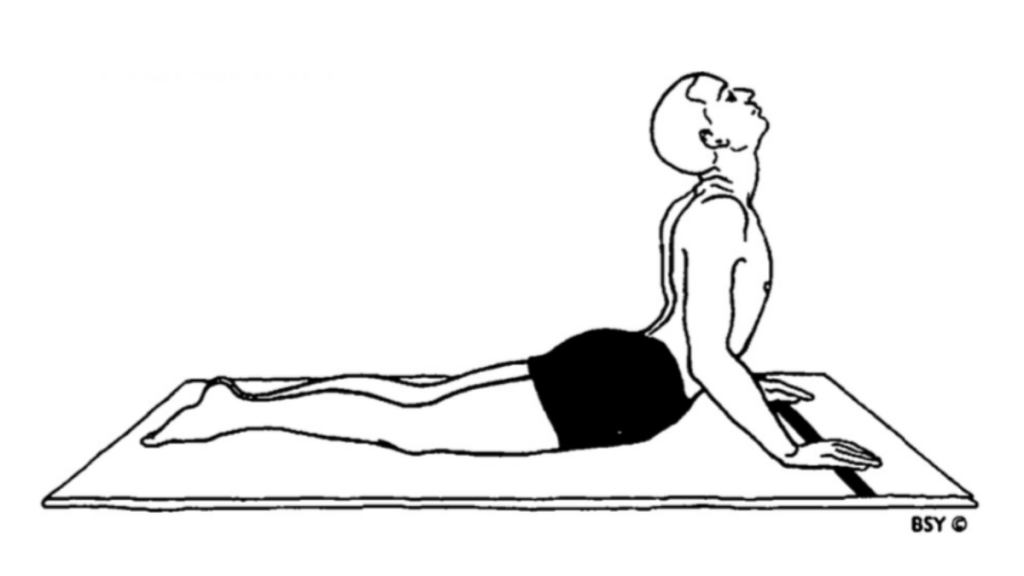 Bhujangasana - Cobra Pose In Yoga - World Yoga Forum