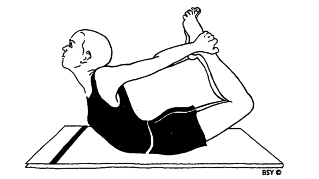Dhanurasana - Bow Pose In Yoga - World Yoga Forum