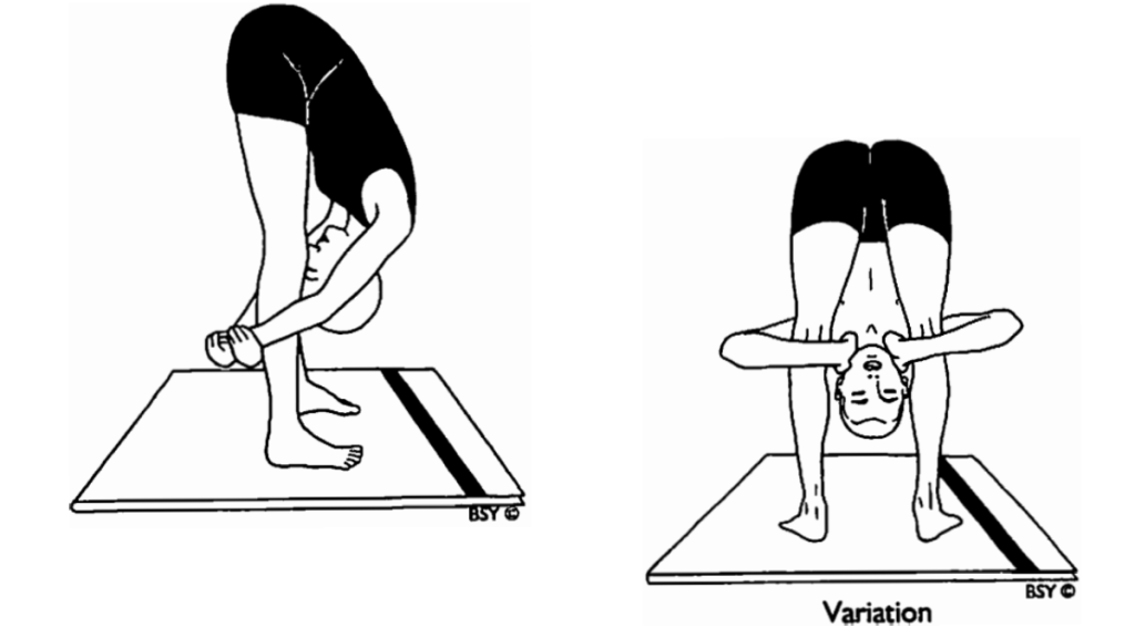 Utthita Janu Sirshasana - Standing Head Between Knees Pose In Yoga